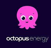Hypervolt now available directly from Octopus Energy